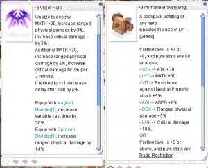 Sage/Scholar Leveling Guide - The ROGGH Library